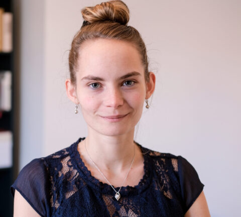 ESDiT Research Fellows - ESDIT