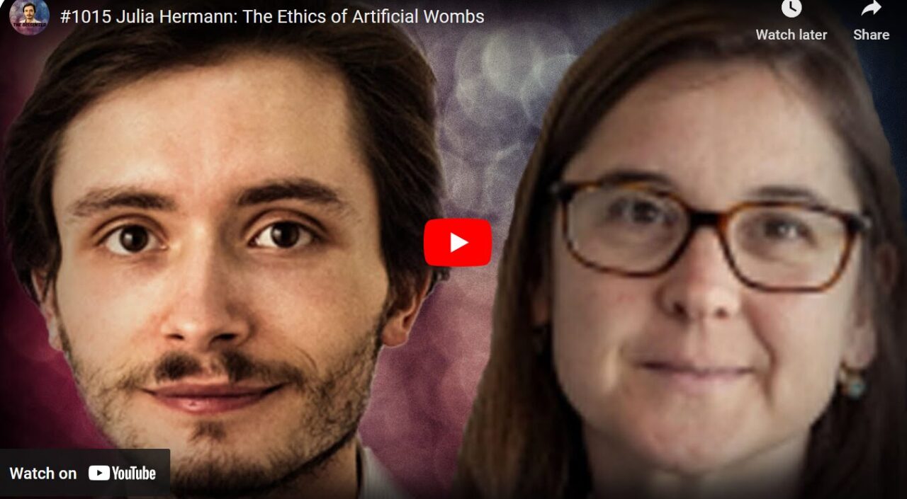 The Ethics of Artificial Wombs: an interview with Julia Hermann - ESDIT